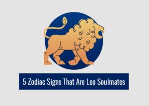 5 Zodiac Signs That Are Leo Soulmates - Revive Zone