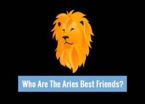 Who Are The Leo Best Friends? - Revive Zone