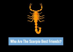 Who Are The Scorpio Best Friends? - Revive Zone